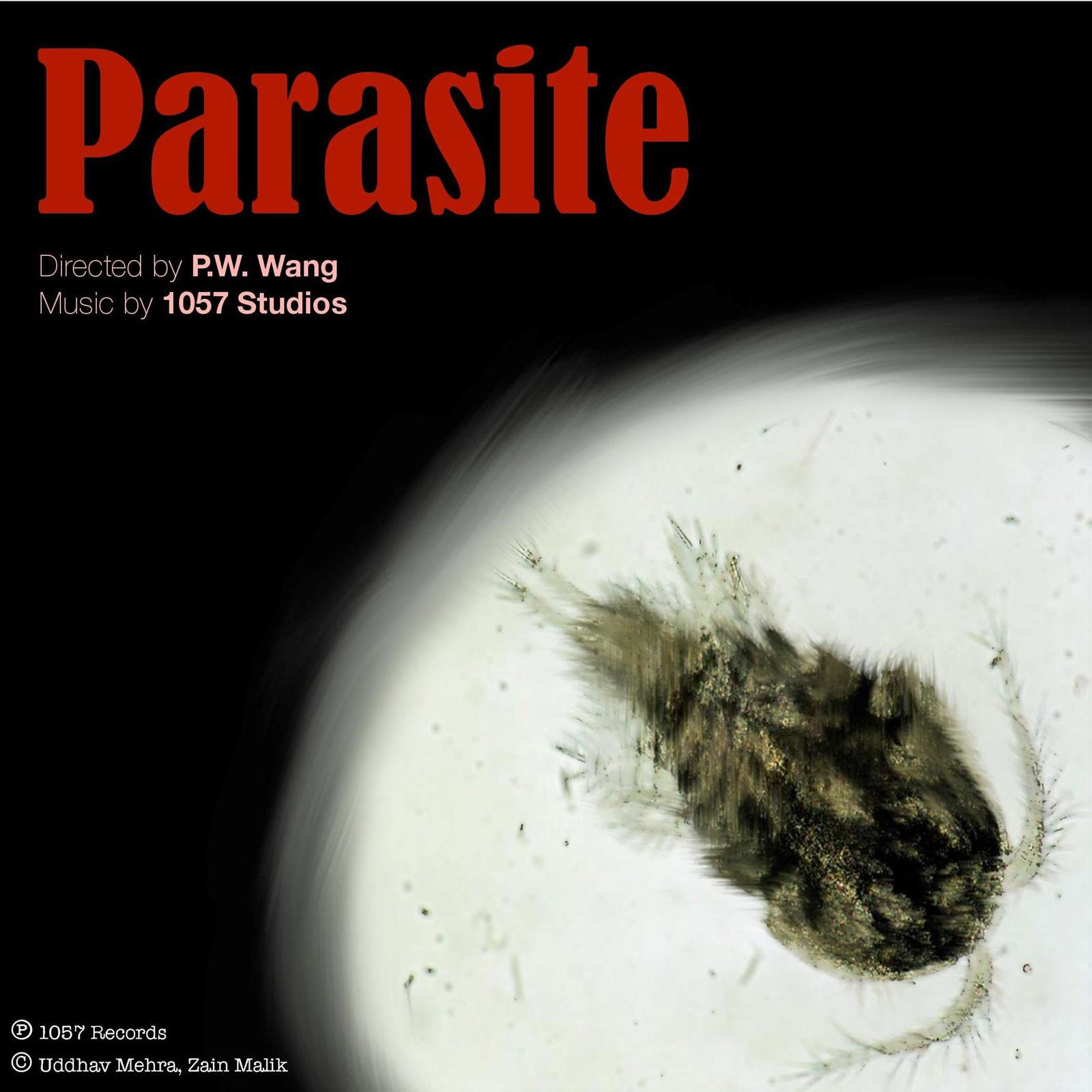 Parasite Original Soundtrack - EP музыка из фильма