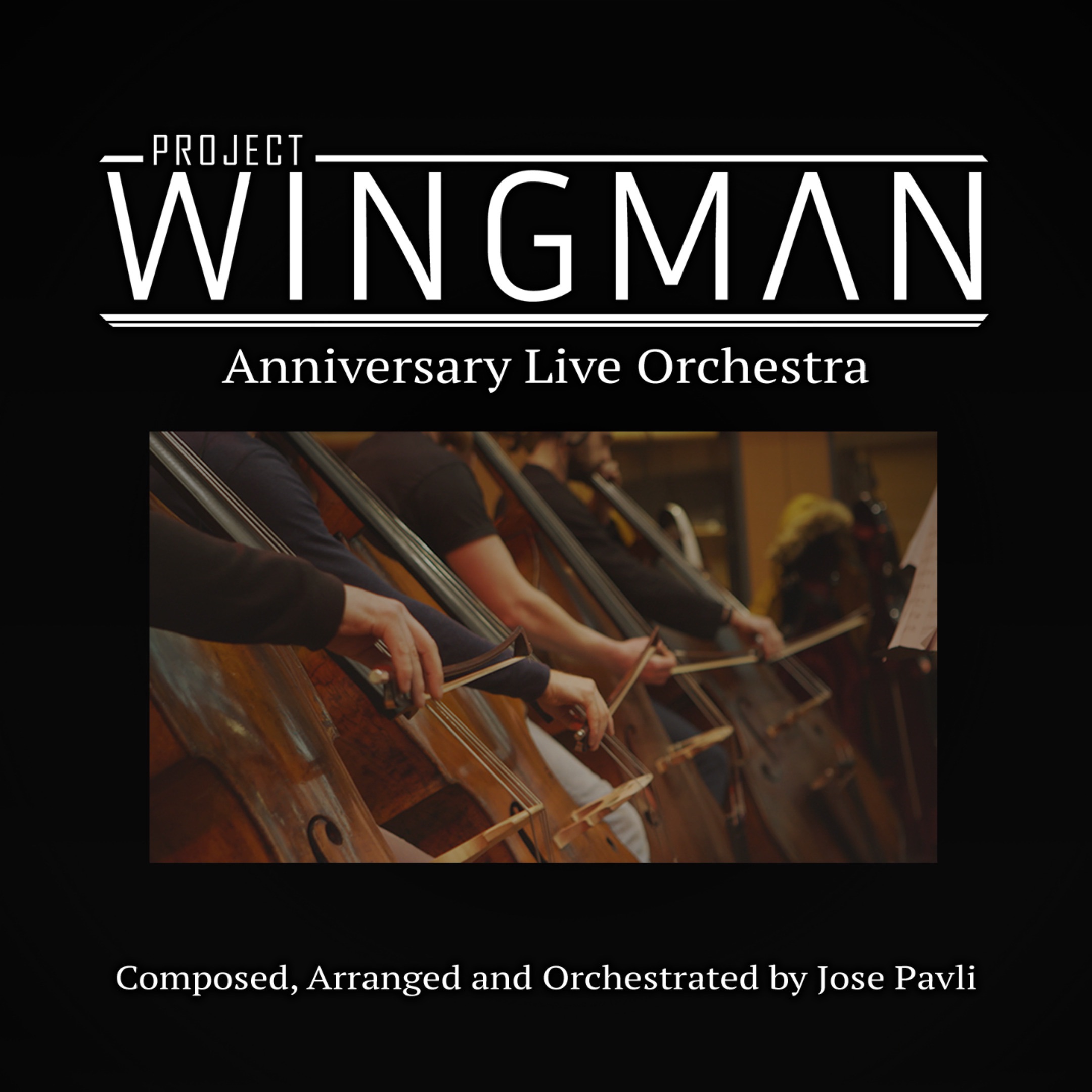 Project Wingman Anniversary Live Orchestra - EP музыка из фильма